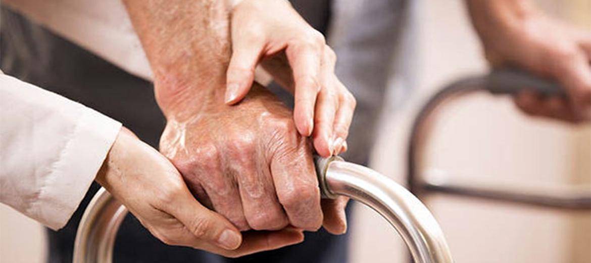 Azilul groazei, în atenția prefectului județului - Stiri si informatii ...